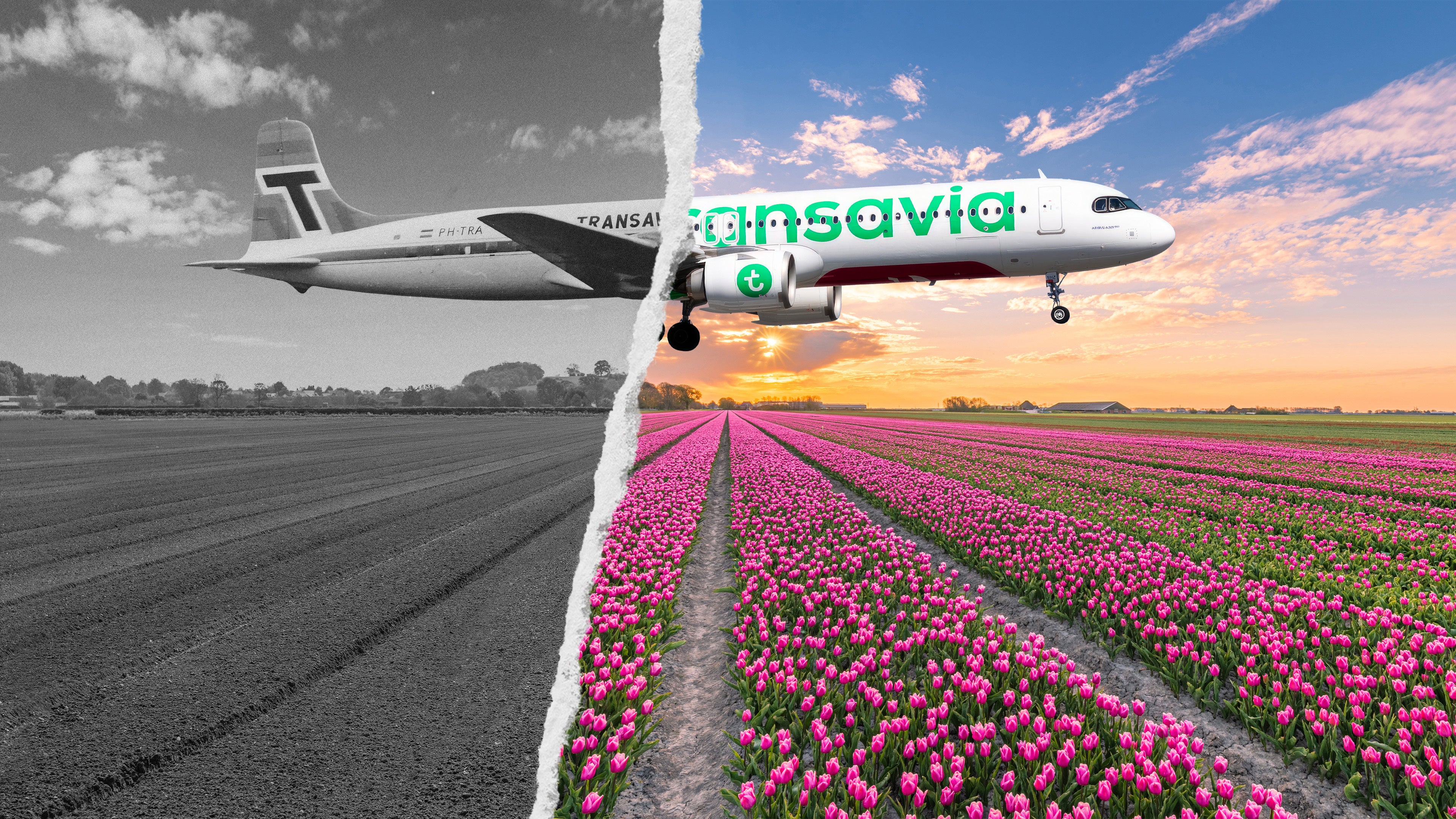Affordable flights | Book easily | Transavia